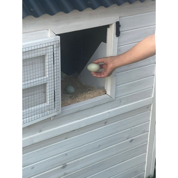 Zylina Modern Nesting House - Poultry Pen Connection | Wayfair