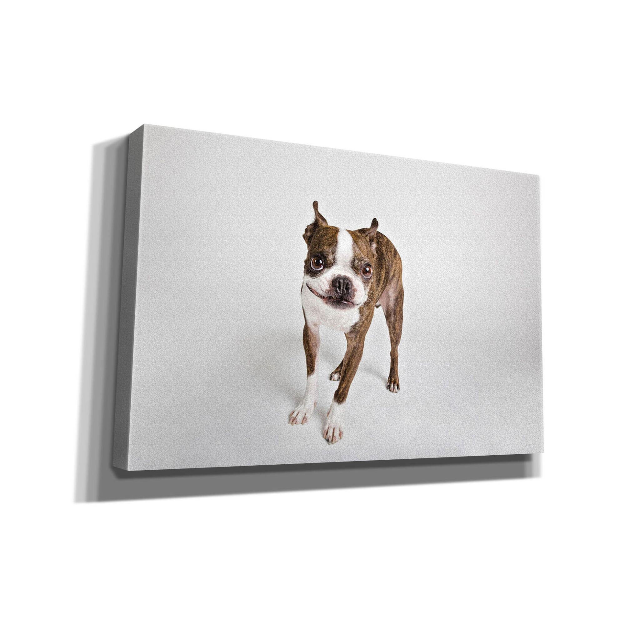 Latitude Run® 'Kevin' By Susan Sabo, Canvas Wall Art - Wayfair Canada