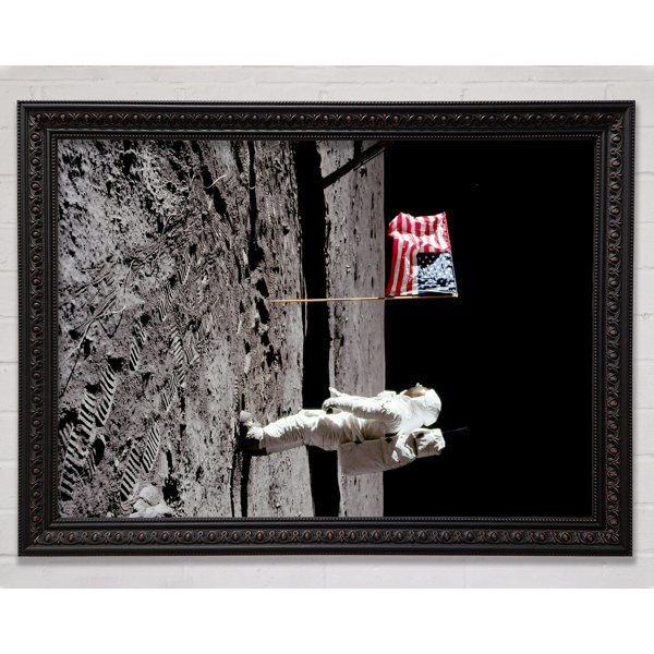 Bright Star Buzz Salutes The American Flag - Single Picture Frame Art ...