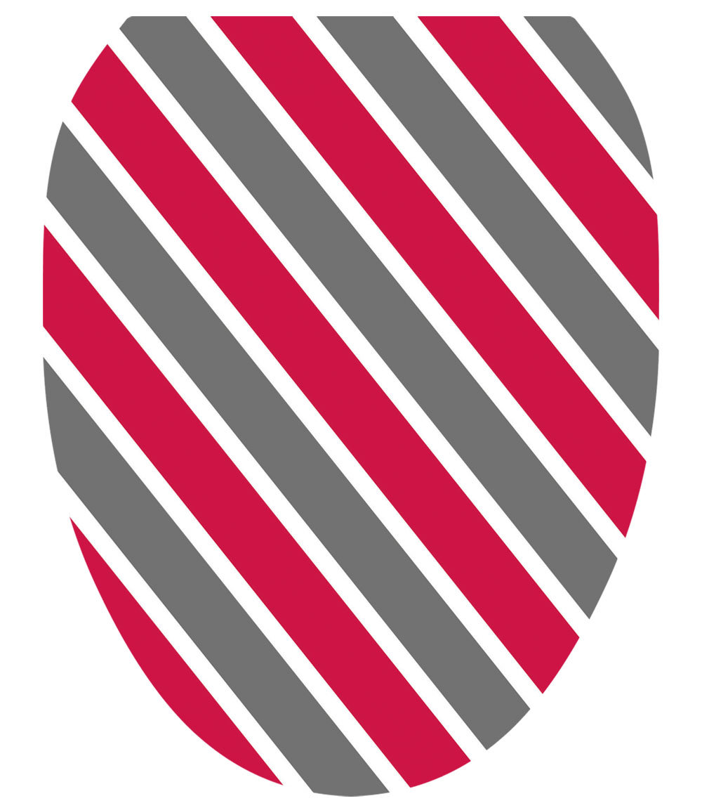 Toilet Tattoos Collegiate Stripe Toilet Seat Decal & Lid Sticker ...