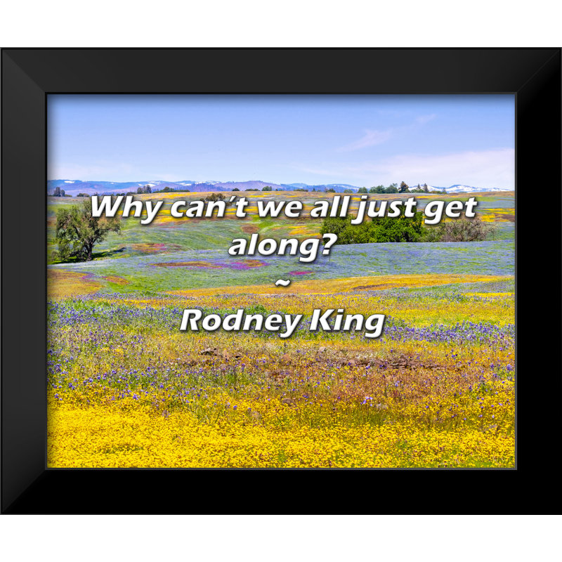 Trinx Rodney King Quote: Why can’t we all just get along? | Wayfair