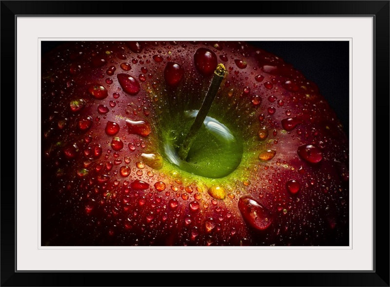 The Twillery Co.® Straub 'Red Apple' by Aida Ianeva Photographic Print ...
