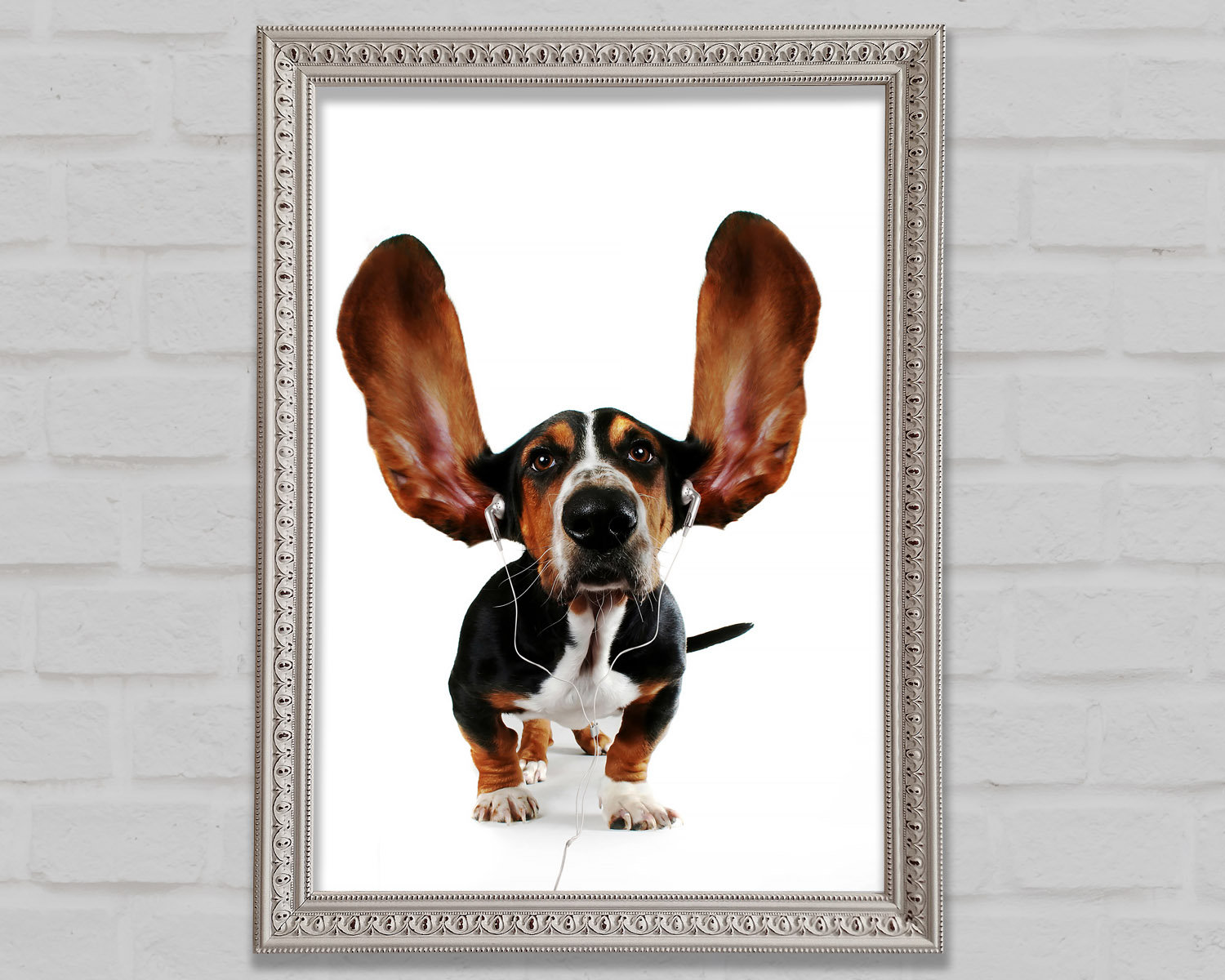 Bright Star Basset Hound Music - Single Picture Frame Art Prints ...