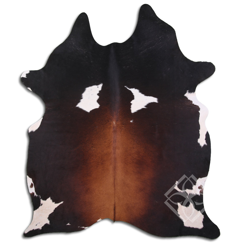 Loon Peak Thibodeaux Natural Hair Handmade Black/Brown Area Rug ...
