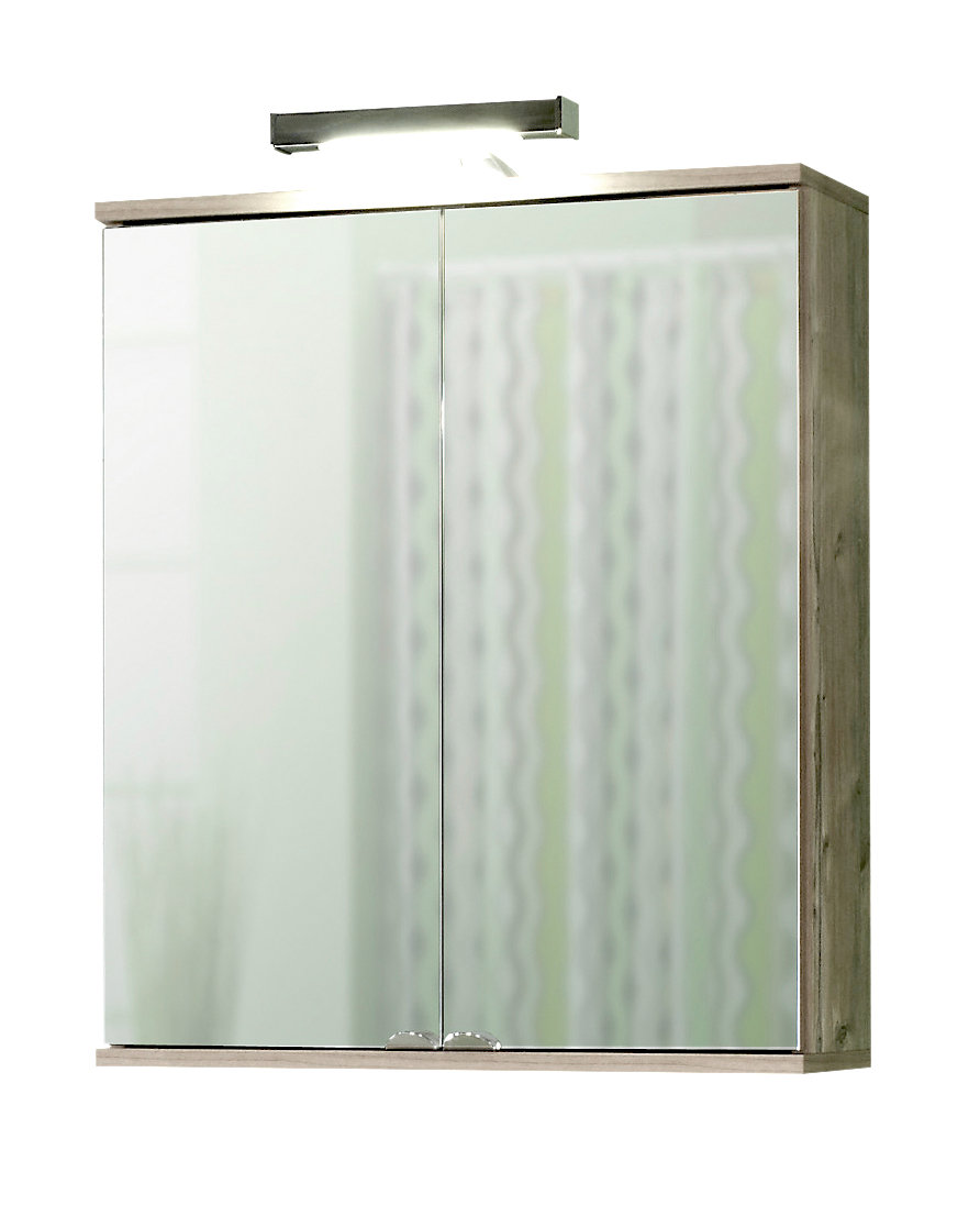 Latitude Run Isola 59.8cm x 70.8cm Surface mount Mirror Cabinet with ...