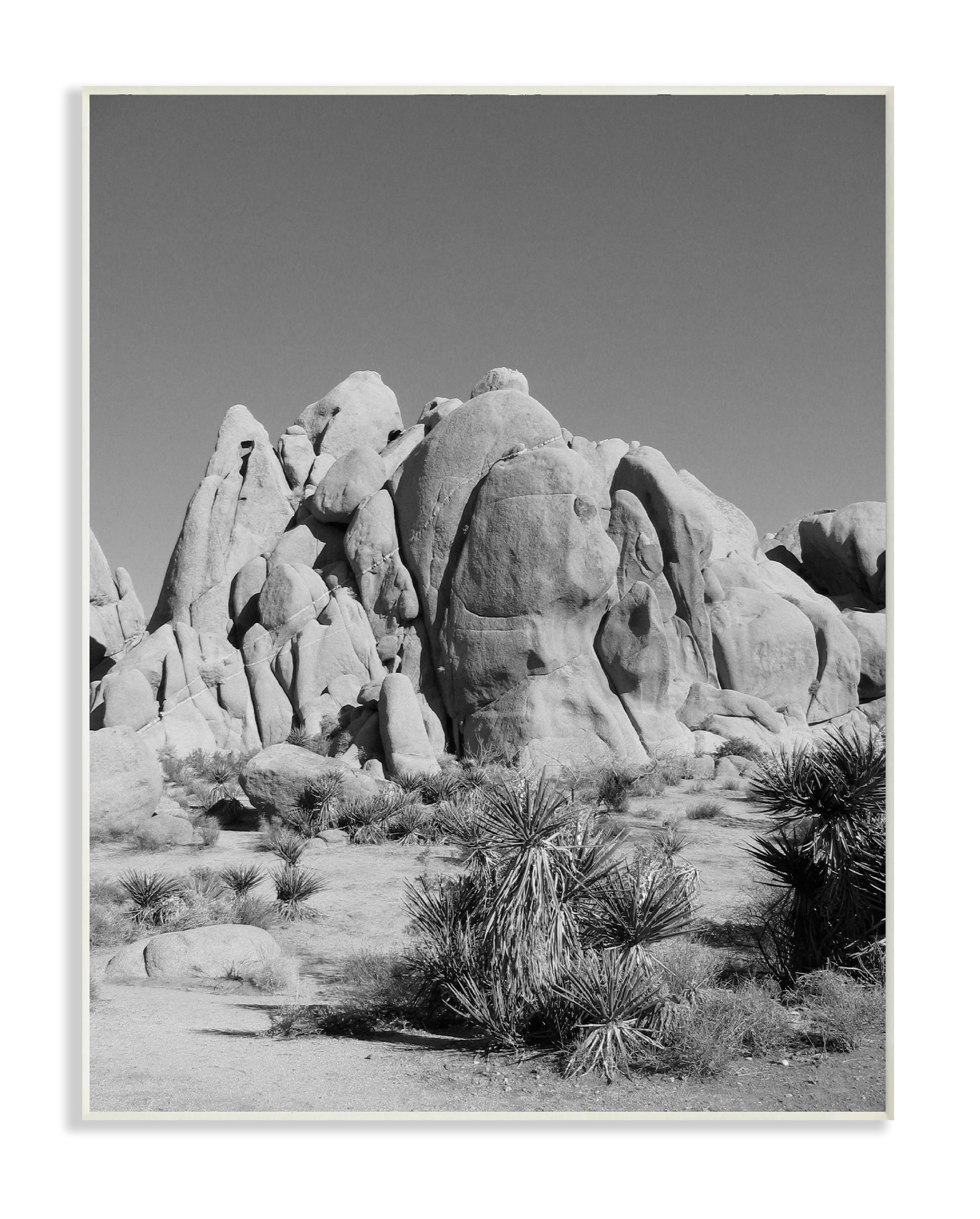 Union Rustic Desert Landscape by In House Art - Floater Frame ...