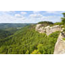 Millwood Pines Ridge Top View by Alexeys - Wrapped Canvas Photograph ...