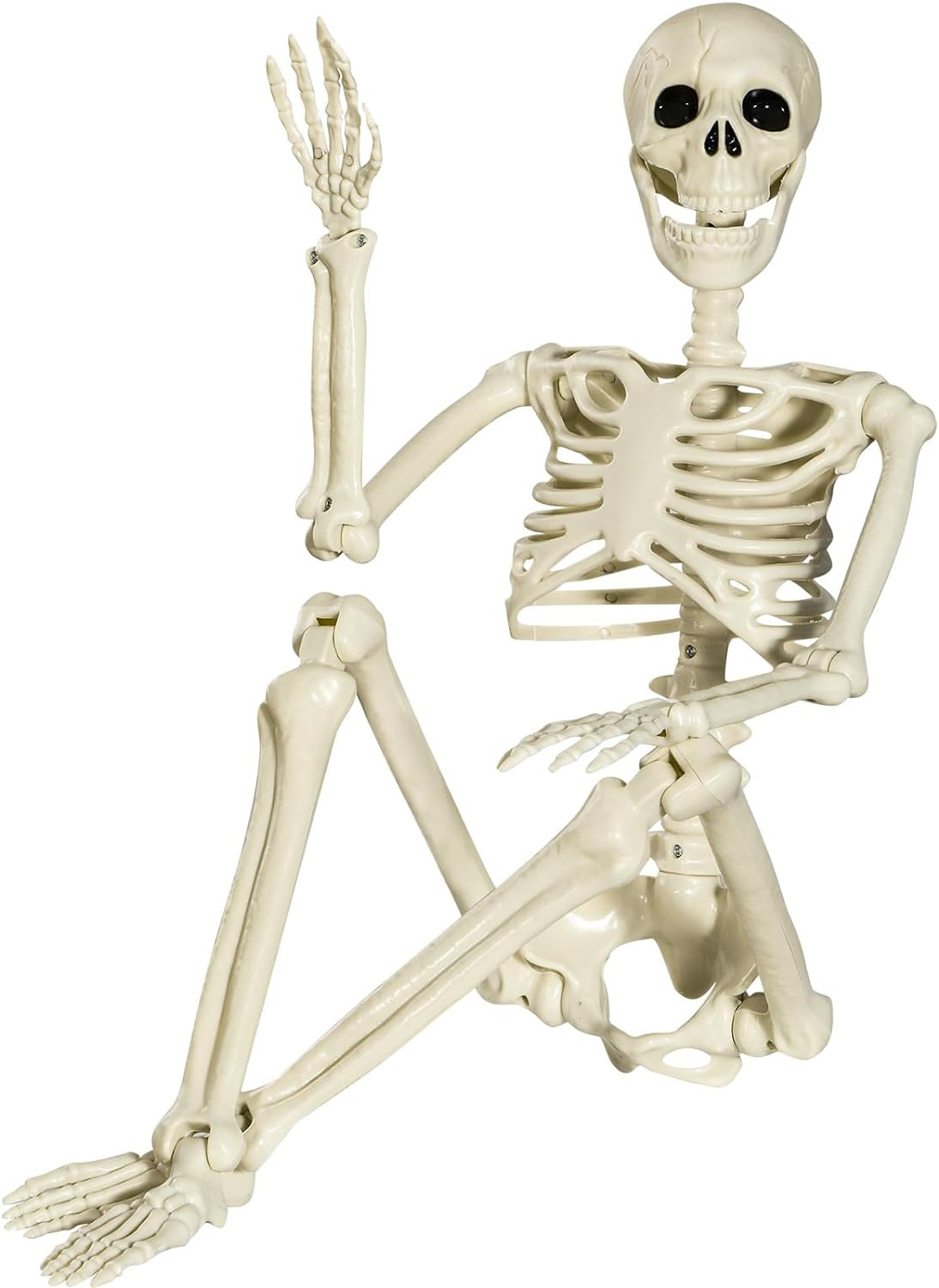 The Holiday Aisle® Halloween Skeleton Full Body Posable Joints | Wayfair