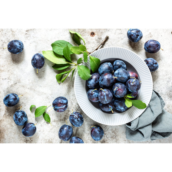 Ebern Designs Plums by YelenaYemchuk - Wrapped Canvas Print | Wayfair.co.uk