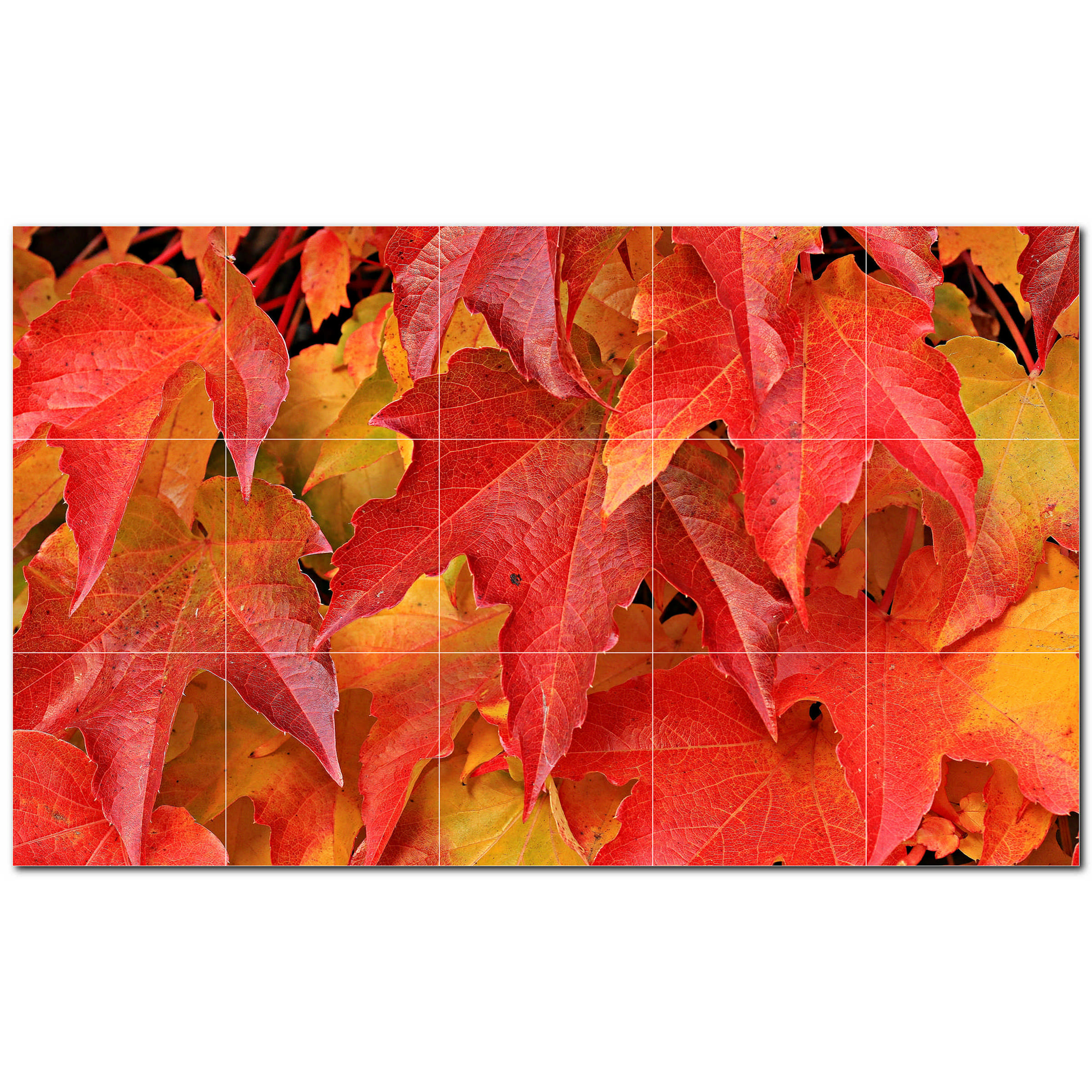 Picture-Tiles.com 40" x 24" Ceramic Autumn Photo Decorative Mural Tile ...