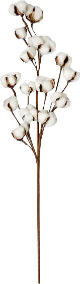 Orren Ellis Maxwellton White 12'' Ceramic Table Vase & Reviews | Wayfair