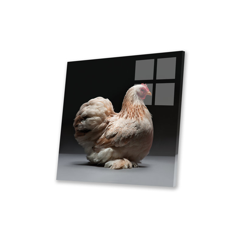 Gracie Oaks Cochin Bantam On Plastic/Acrylic by CHICken | Wayfair