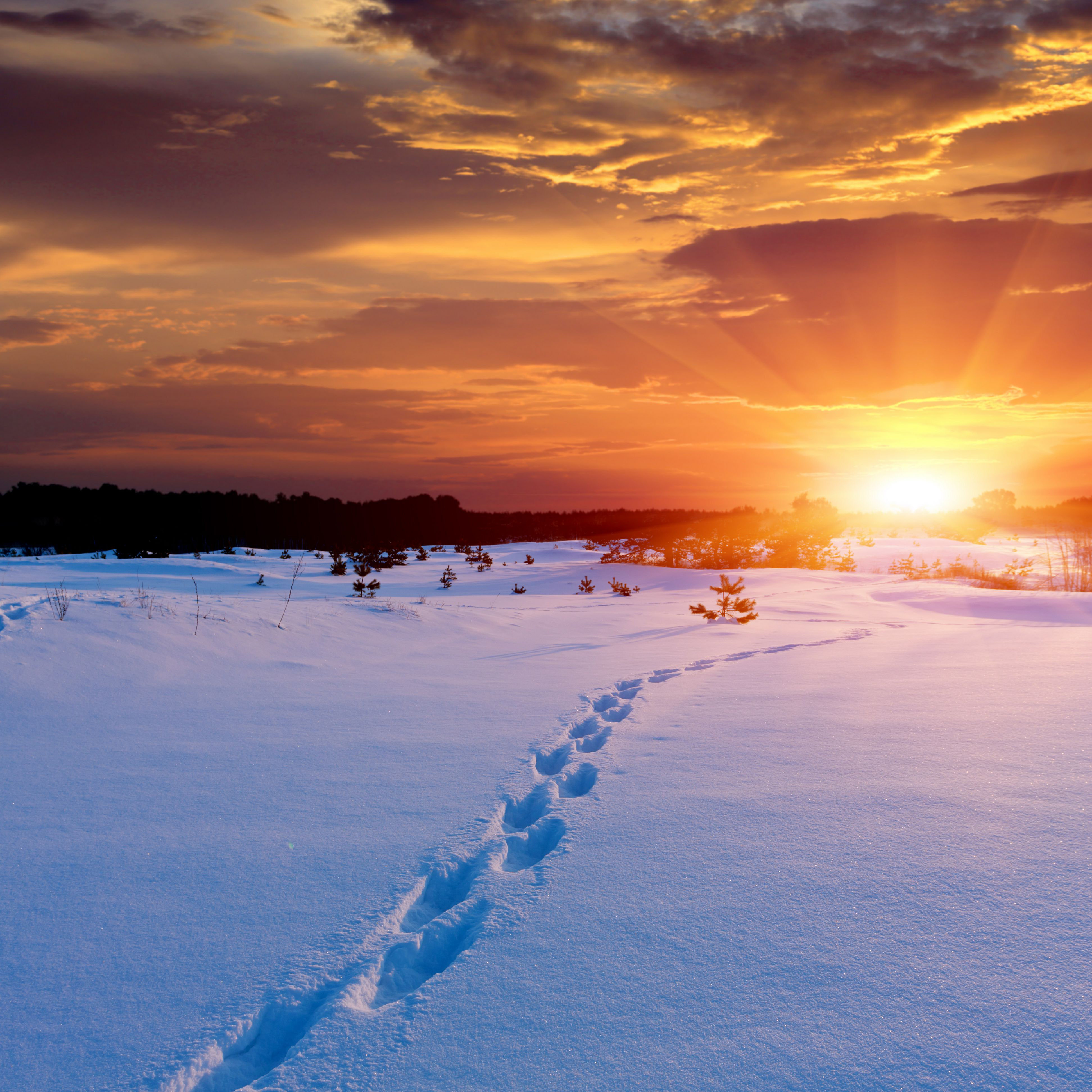 Ebern Designs Snowy Path to Sunset - Wrapped Canvas Photograph | Wayfair