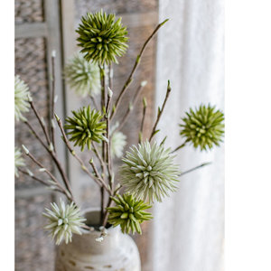 Primrue Round Ball Stems | Wayfair