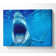 House of Hampton White Shark Teeth - Print | Wayfair.co.uk