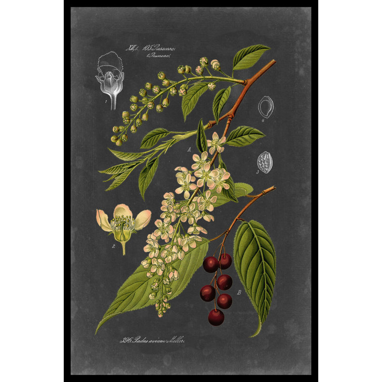 Union Rustic Midnight Botanical II Framed On Canvas by Vision Studio ...