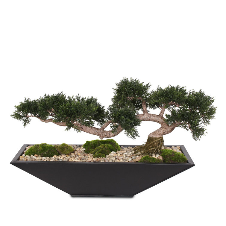 JennySilks Faux Bonsai Plant in Metal Pot | Perigold