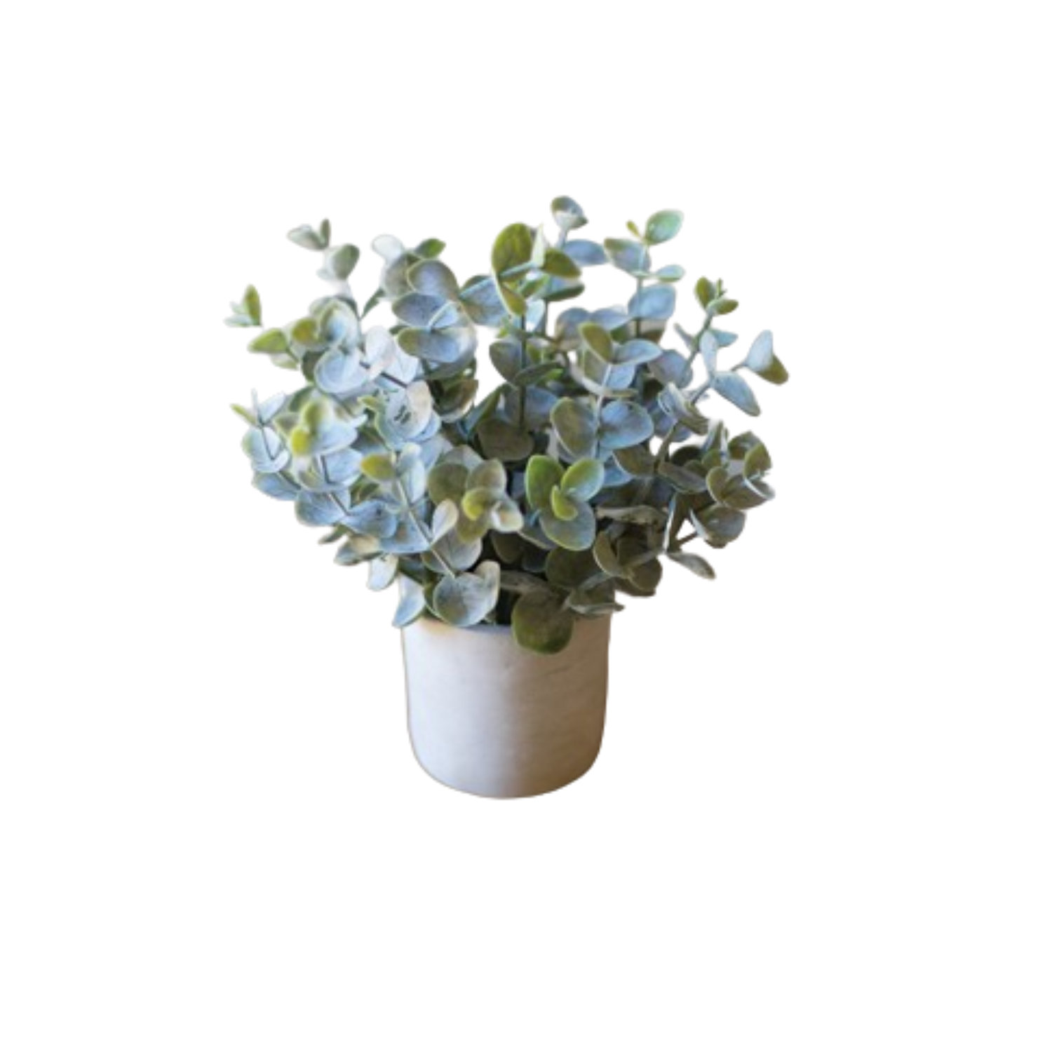 Kalalou Arrangement in Free-standing | Wayfair