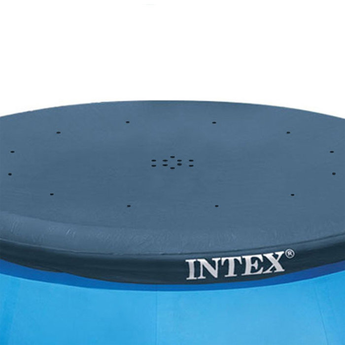 Intex 10 ft x 30 ft Plastic Inflatable Pool & Reviews | Wayfair