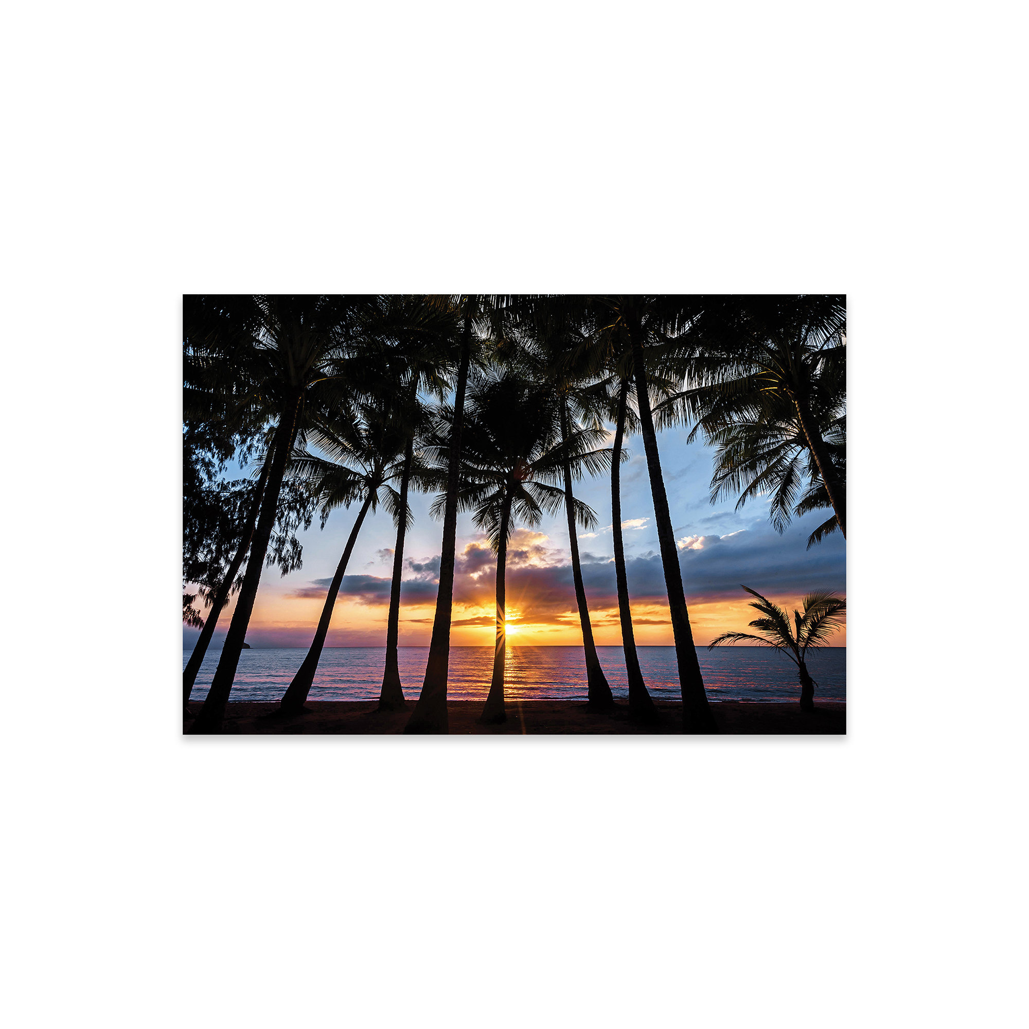 Bay Isle Home™ «Karlshamn Sunrise Through Beach Palms On Plastique ...