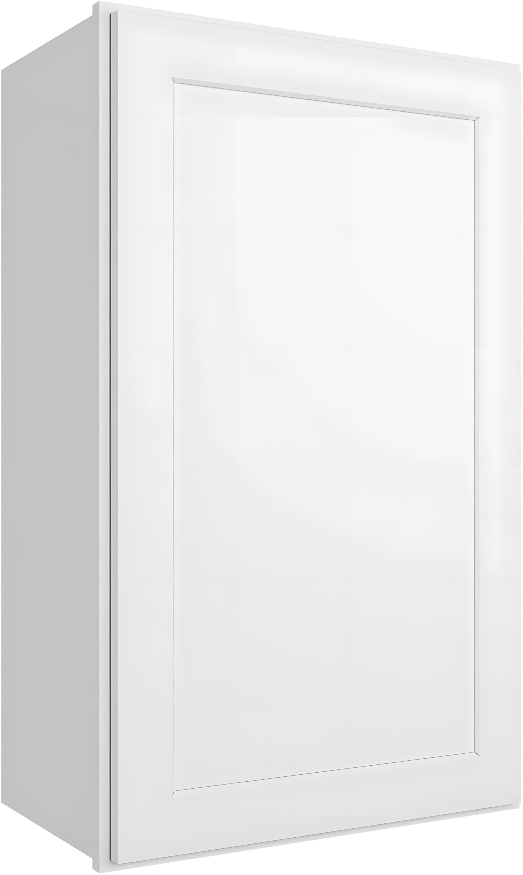 Hokku Designs Wall Mounted Bathroom Cabinet With Doors & Adjustable ...