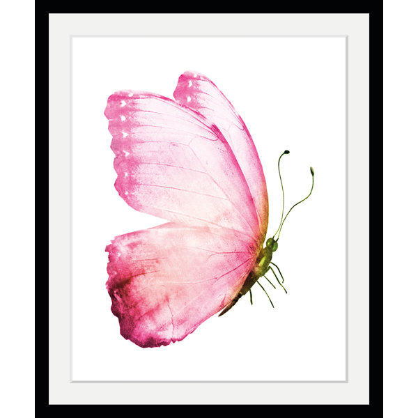 Ebern Designs Gerahmtes Poster „Butterfly“, Grafikdruck | Wayfair.de