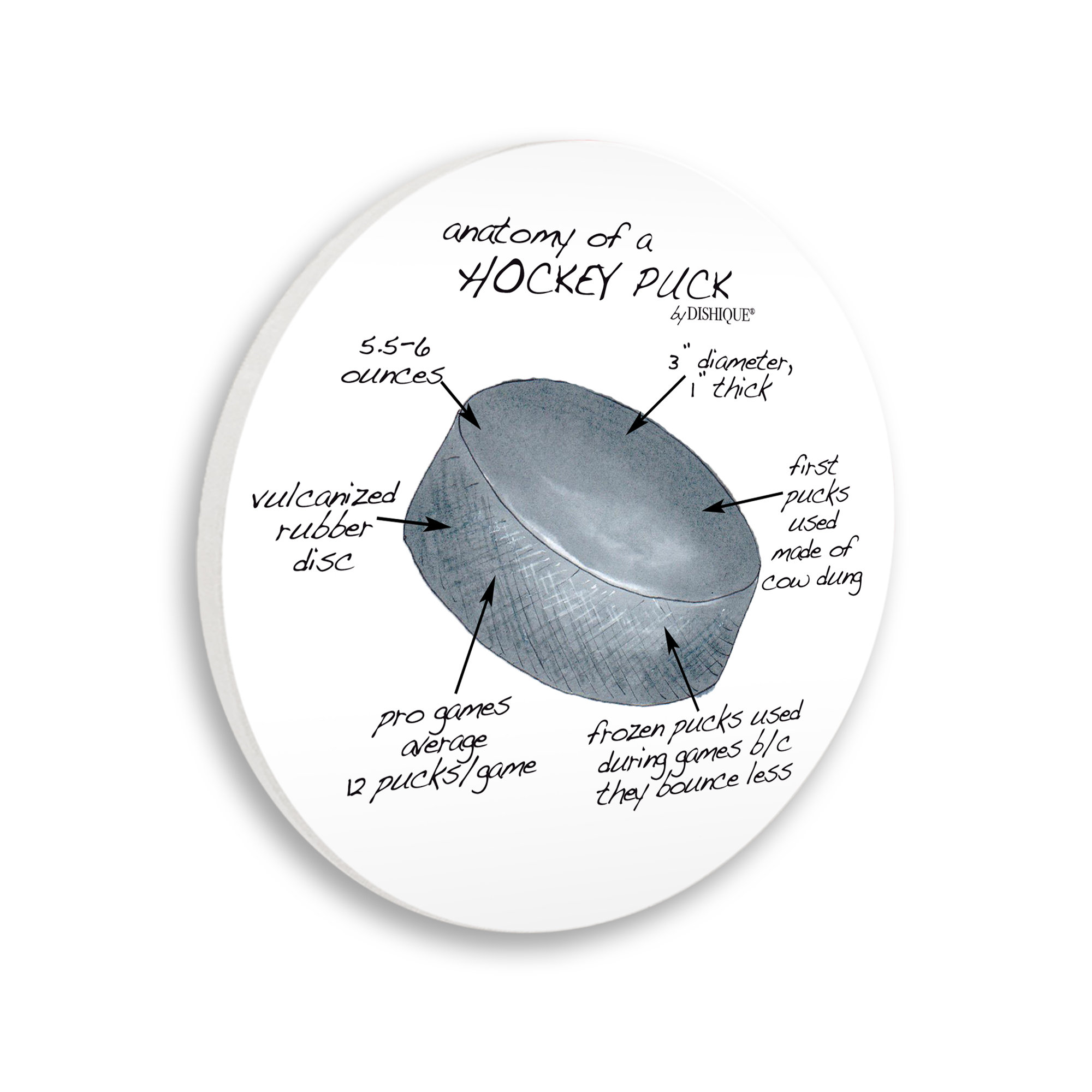 Stupell Industries Informational Hockey Puck Sports Learning Chart ...