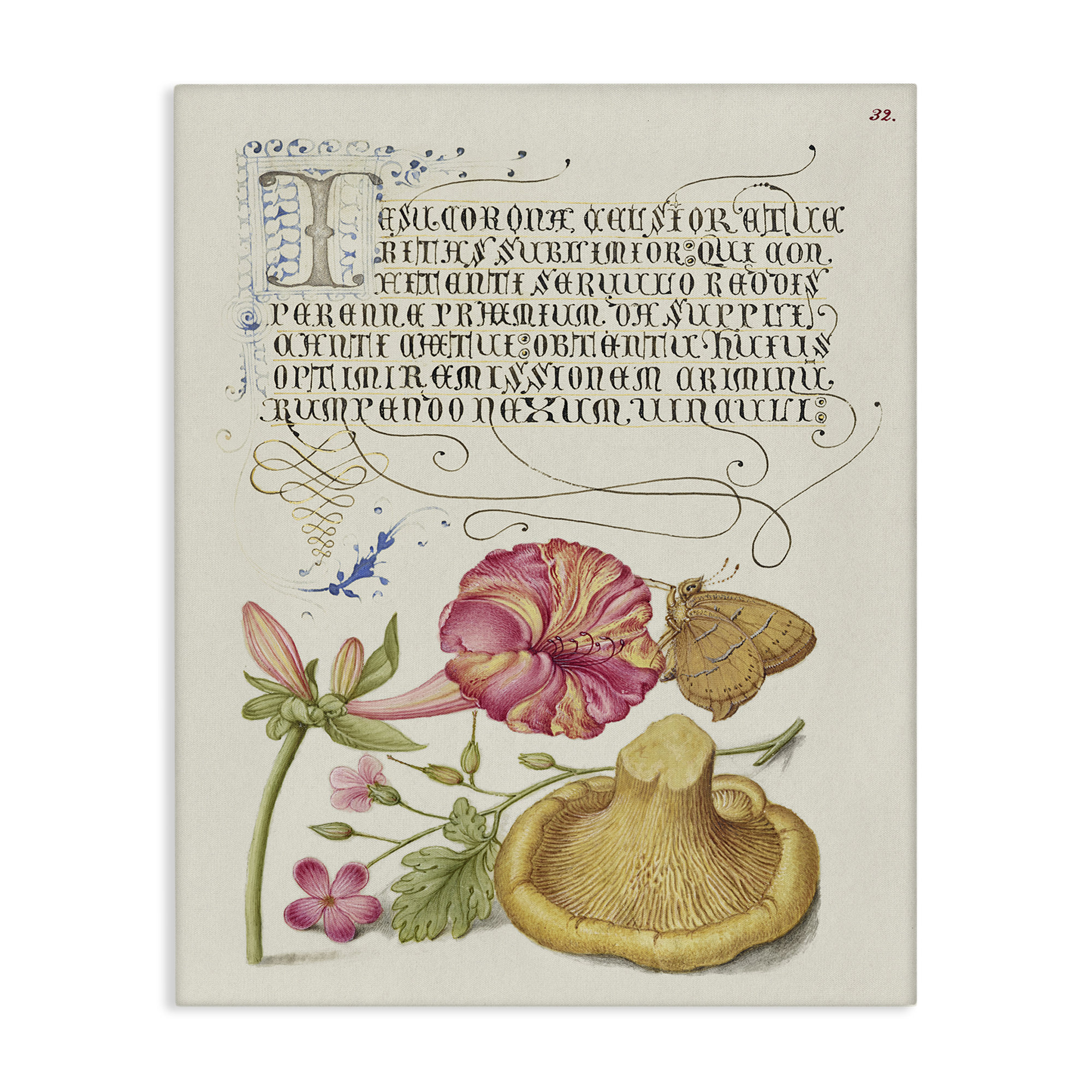 Ophelia & Co. Woodland Wildlife Study Canvas Wall Art by Grace Popp ...