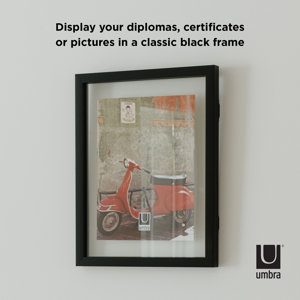Umbra Document Picture Frame & Reviews | Wayfair