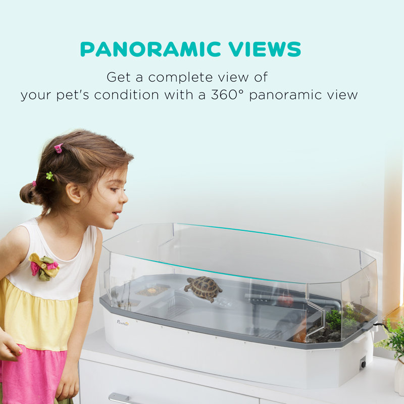 Tucker Murphy Pet™ Davyion Octagon Aquarium Tank | Wayfair