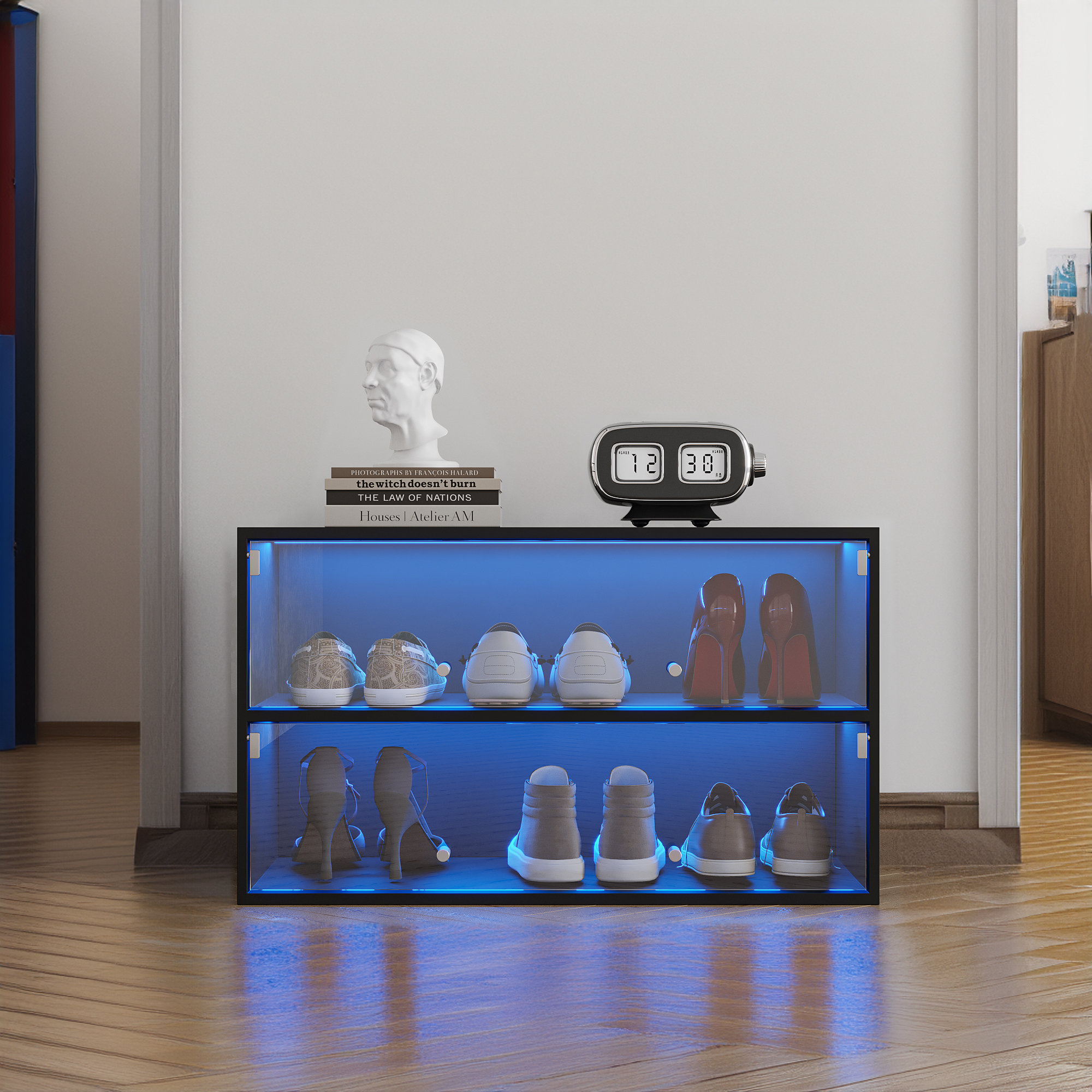 Ivy Bronx 2 Tiers Glass Door Shoe Box - Wayfair Canada