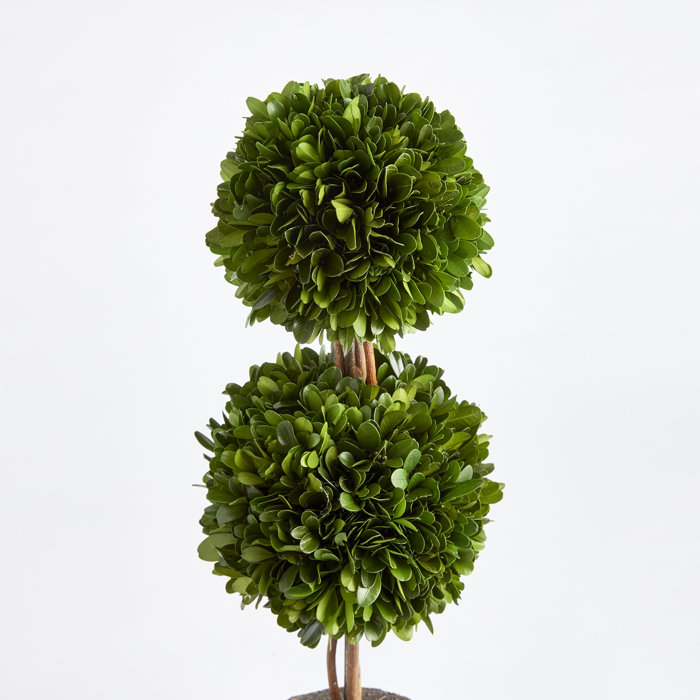 Napa Home & Garden DOUBLE SPHERE TOPIARY DROP-IN 20" | Perigold
