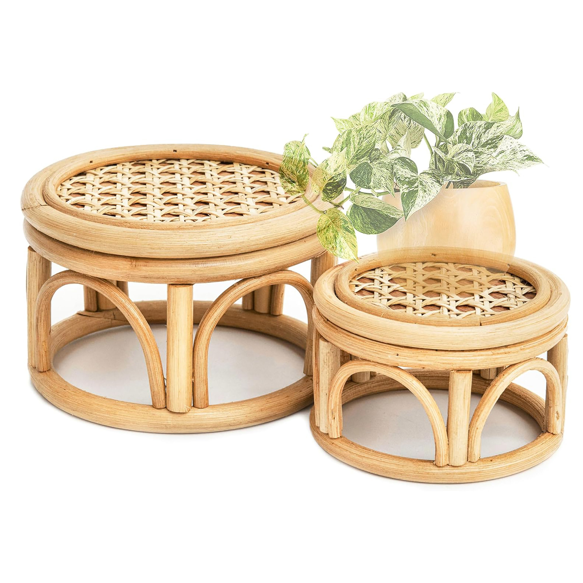 Bayou Breeze Set of 2 Small Bohemian Rattan Wicker Round Riser Plant ...