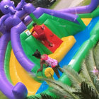 JumpOrange Octopus Water Slide with Splash Zone and Dual Slides for ...