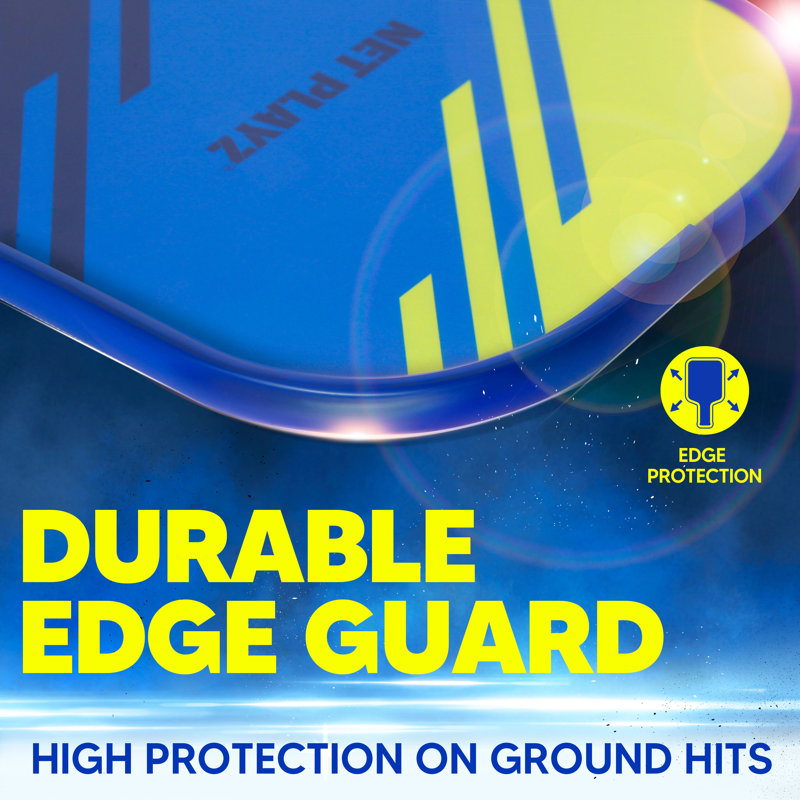 Net Playz Pickleball with Carrying Case | Wayfair