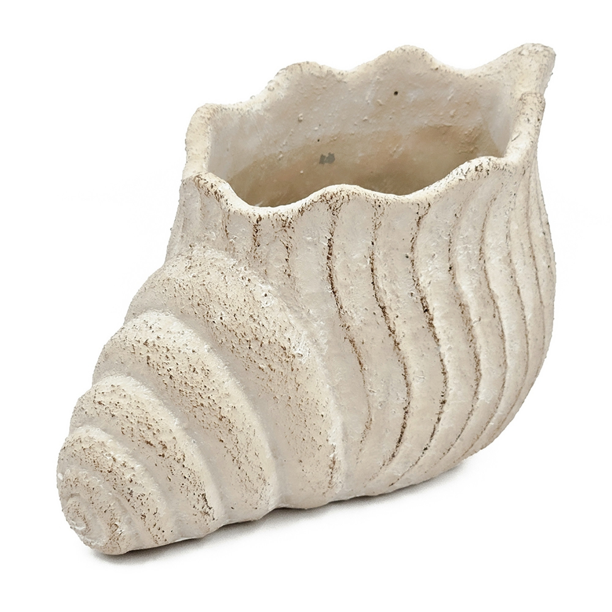 Highland Dunes Versatile Nautilus Shell Planter Cement Coastal Decor ...