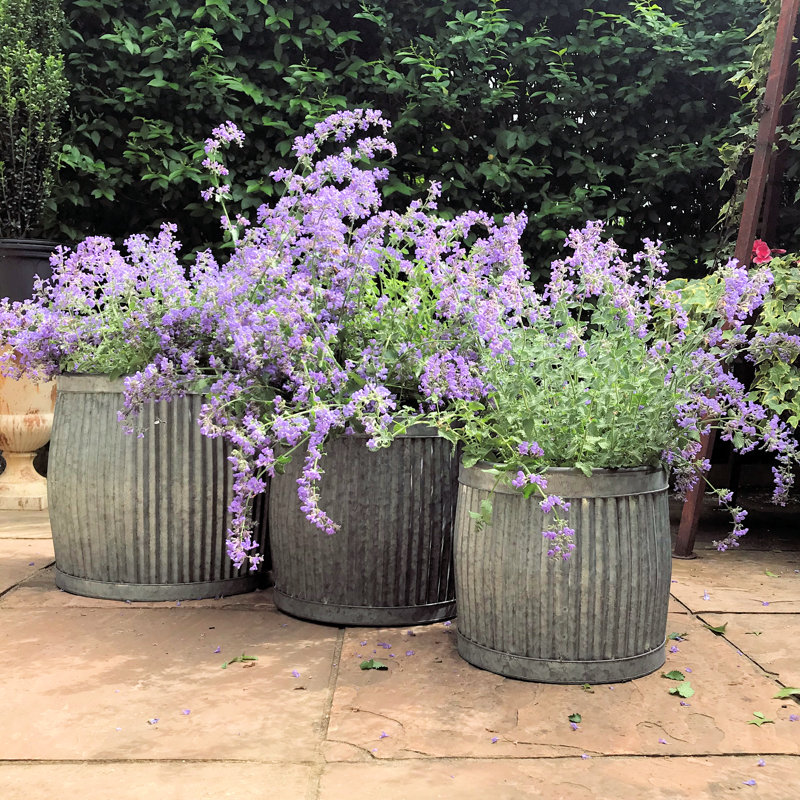Gracie Oaks Armanno 3-Piece Galvanized Metal Pot Planter Set & Reviews ...