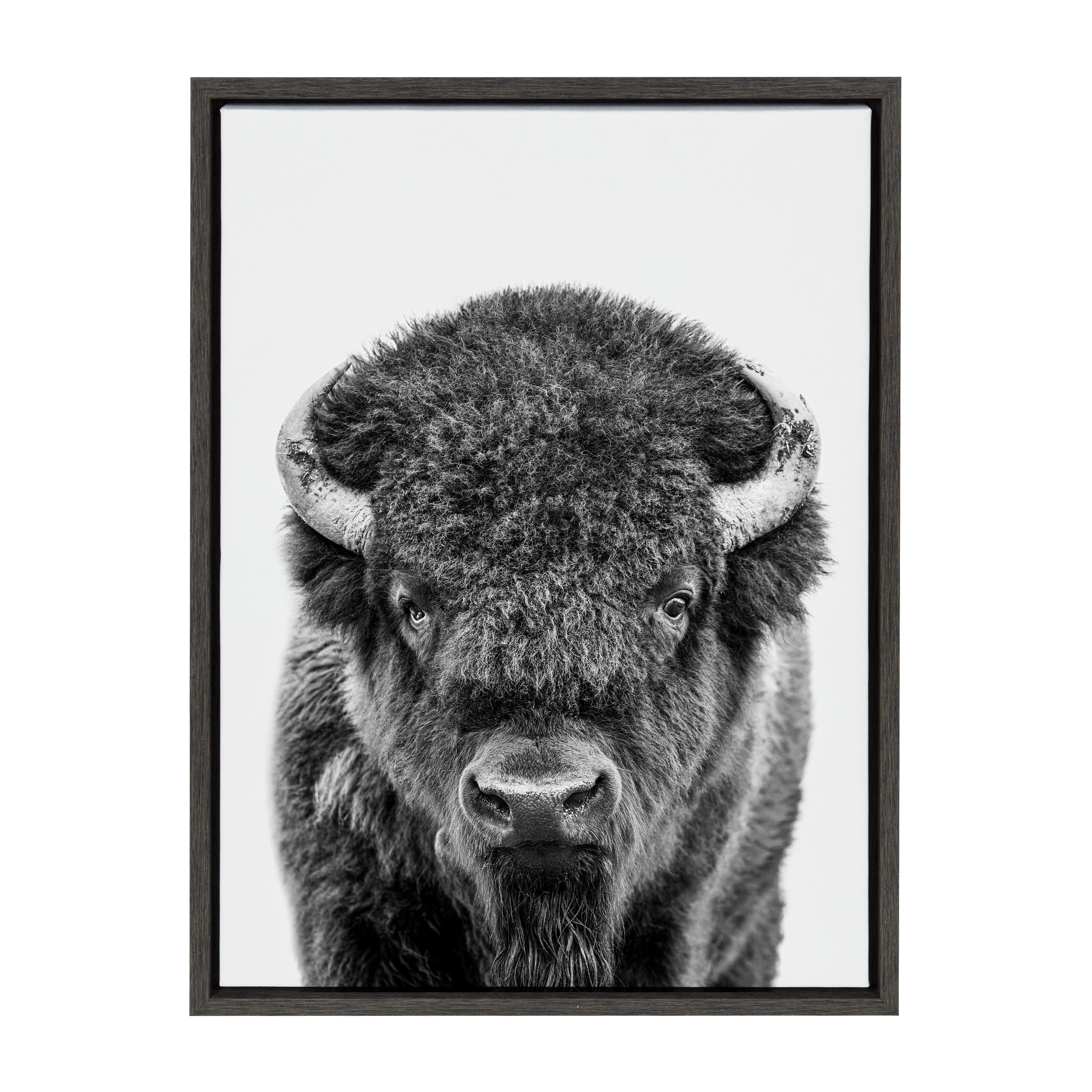Union Rustic Latitude Run® Sylvie Bison Portrait Framed Canvas By Amy ...