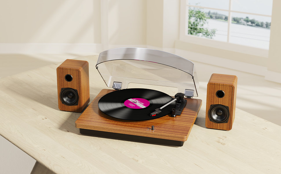 DIGITNOW Bluetooth Turntable Decorative Record Player | Wayfair