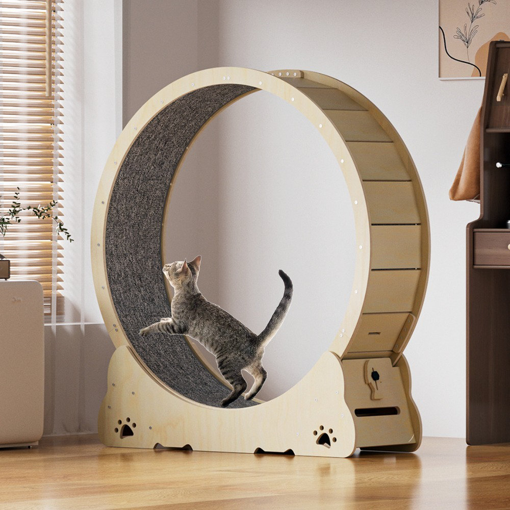 DORROM 40 Inch Large Cat Exercise Wheel, Indoor Cat Solid Wood Cat ...