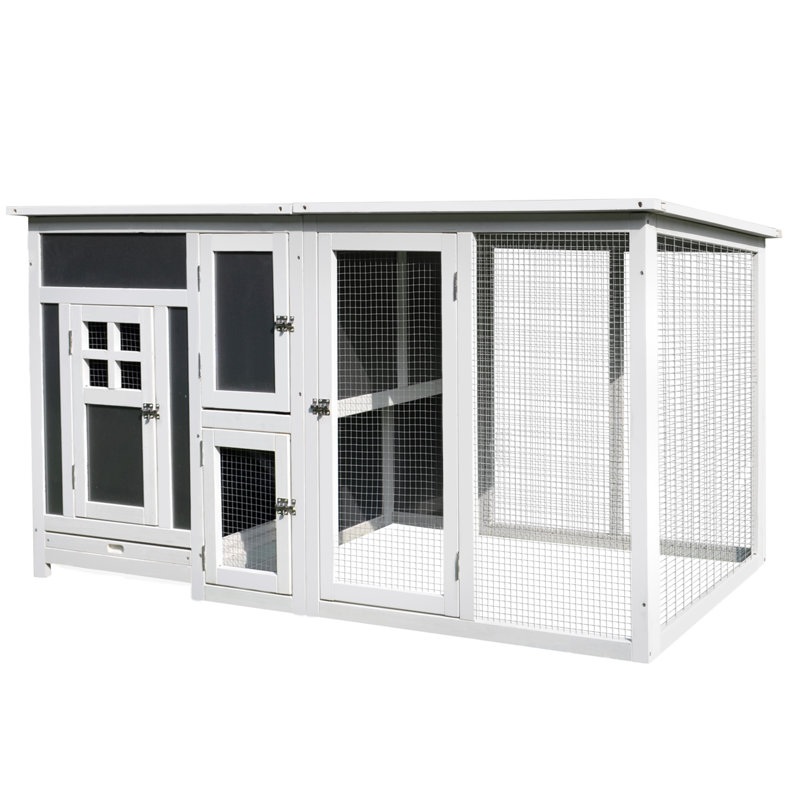 Tucker Murphy Pet™ Camarillo Weather Resistant Hutch with Ramp ...