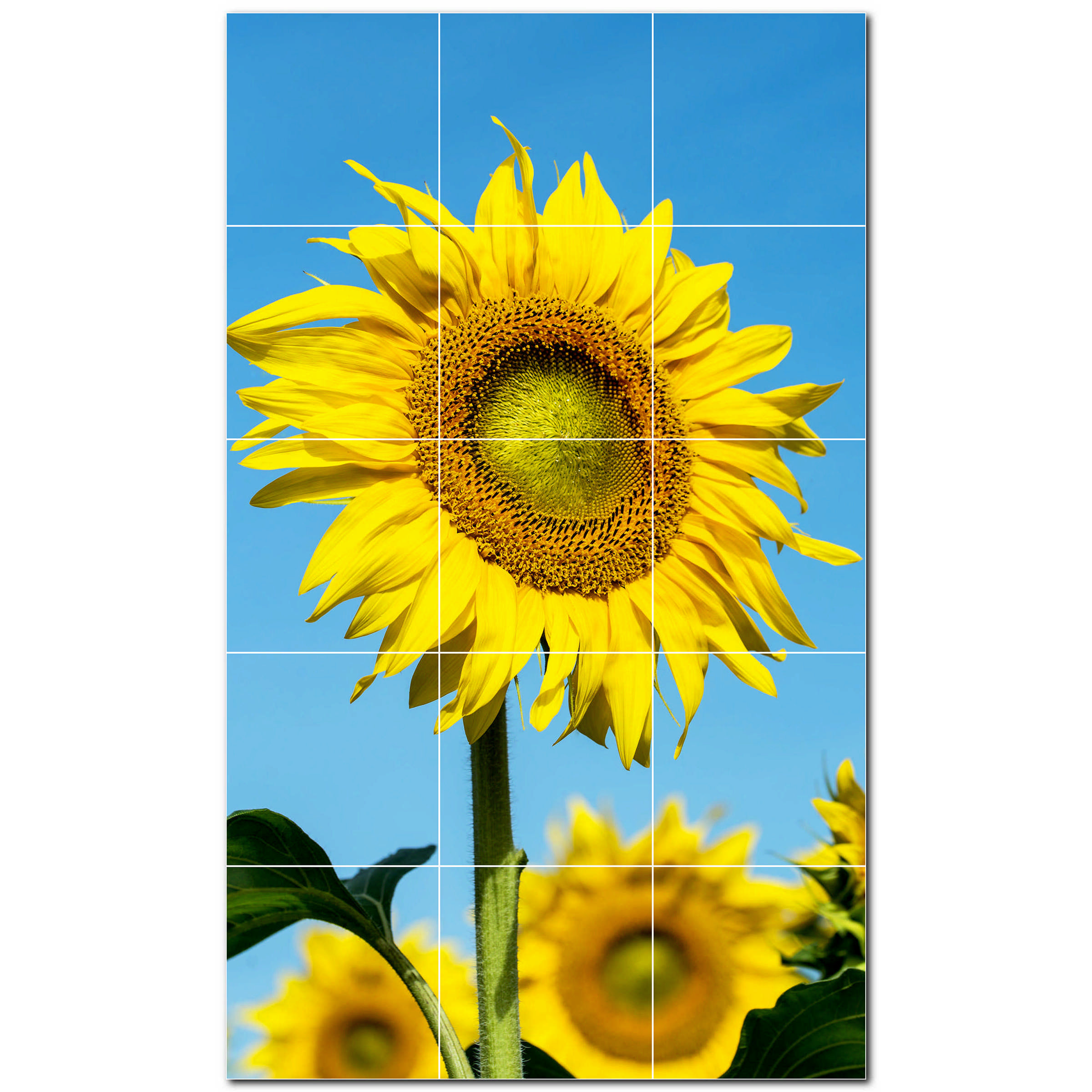 Picture-Tiles.com 24" x 40" Ceramic Farm Photo Decorative Mural Tile ...