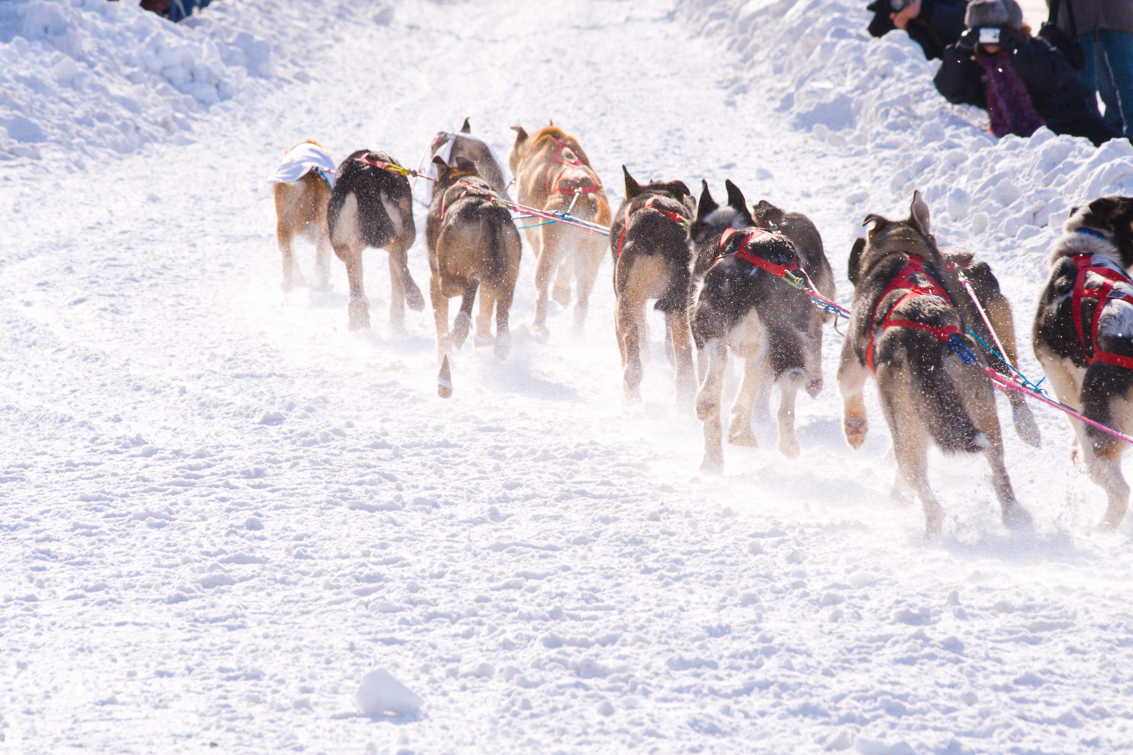 Ebern Designs Around The Corner - Wayfair Canada