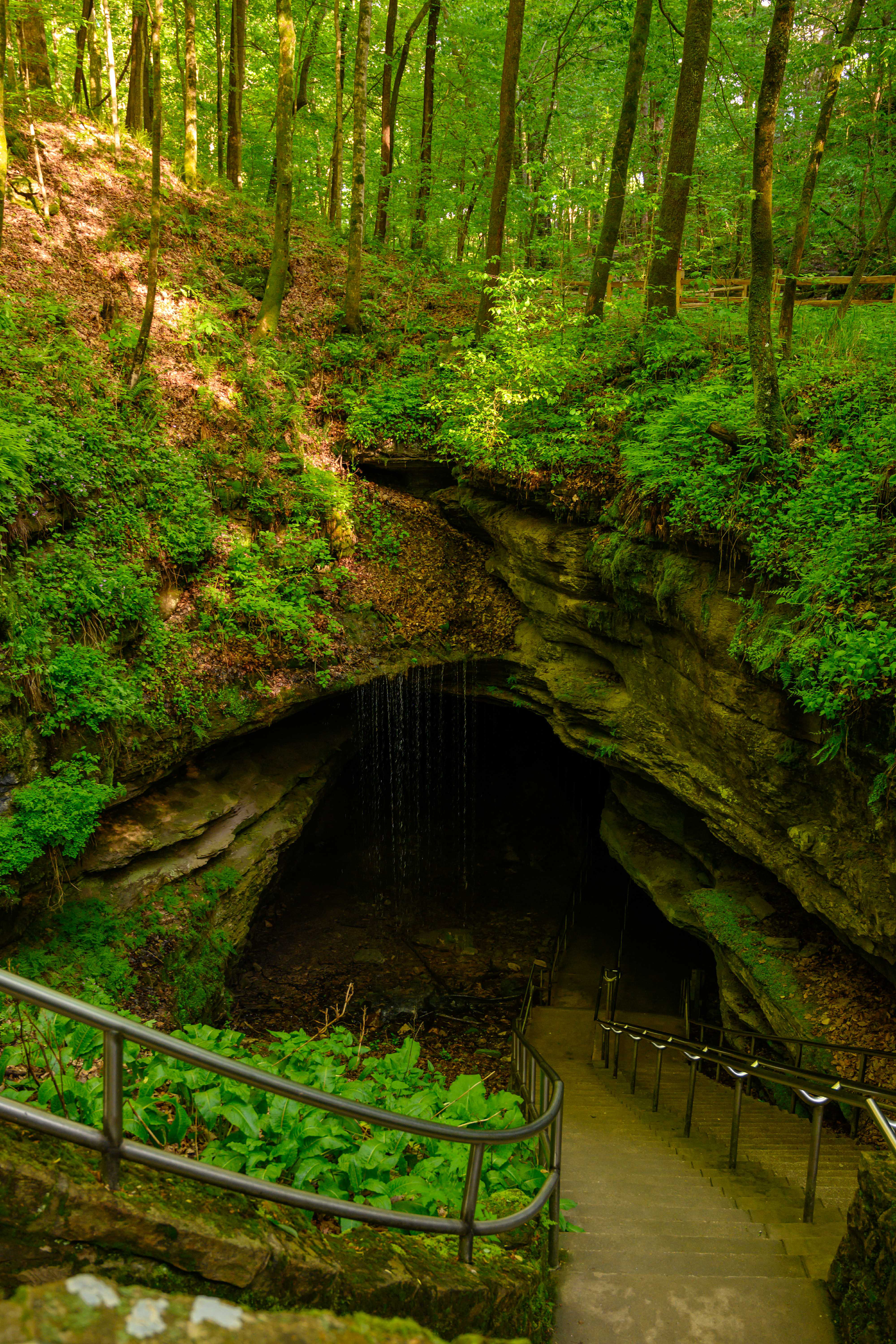 Millwood Pines Entrance to Mammoth Cave by Kellyvandellen - Wrapped ...