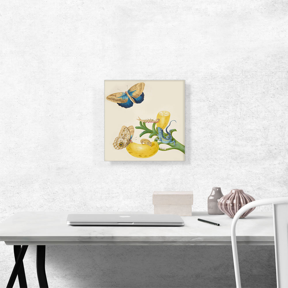 ARTCANVAS Banana With Teucer Owl Butterfly Rainbow Whiptail Lizard 1702 ...