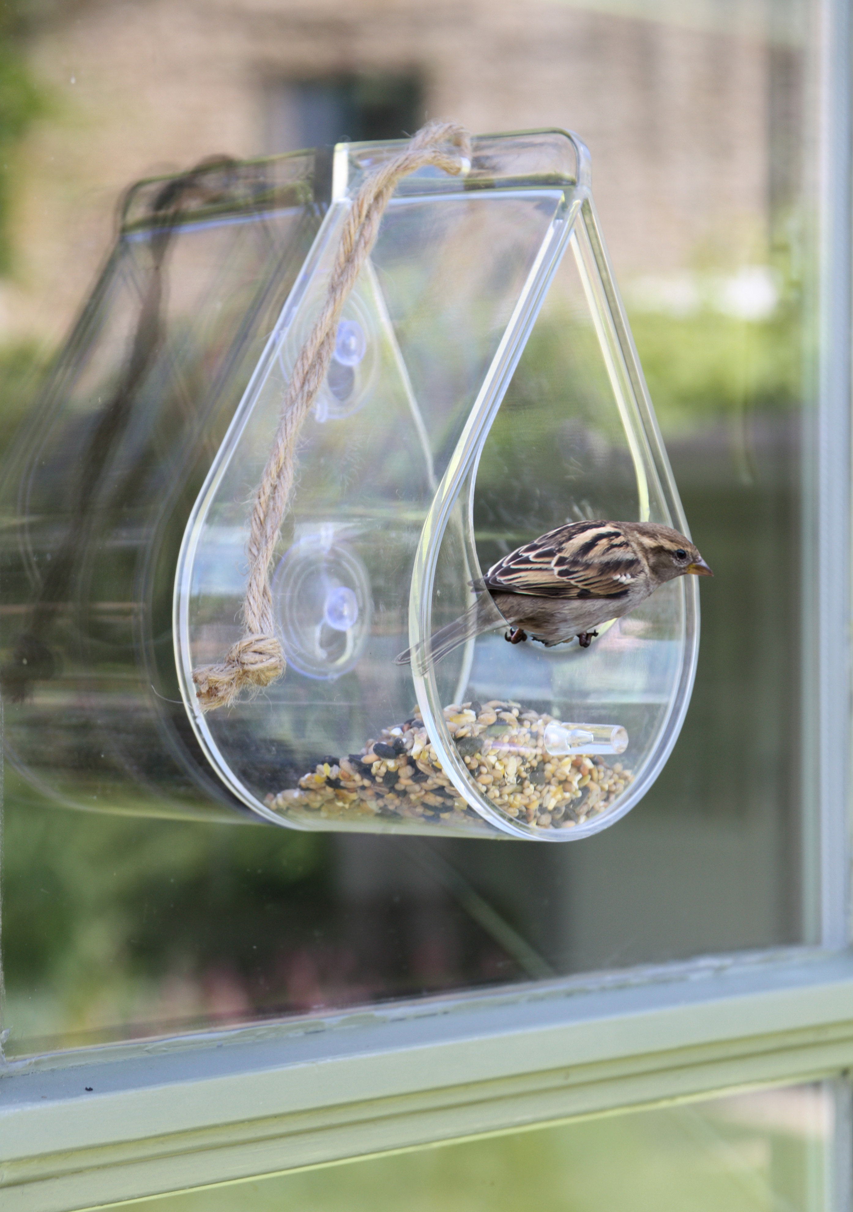 Arlmont & Co. Bagley Dew Drop Decorative Bird Feeder & Reviews | Wayfair
