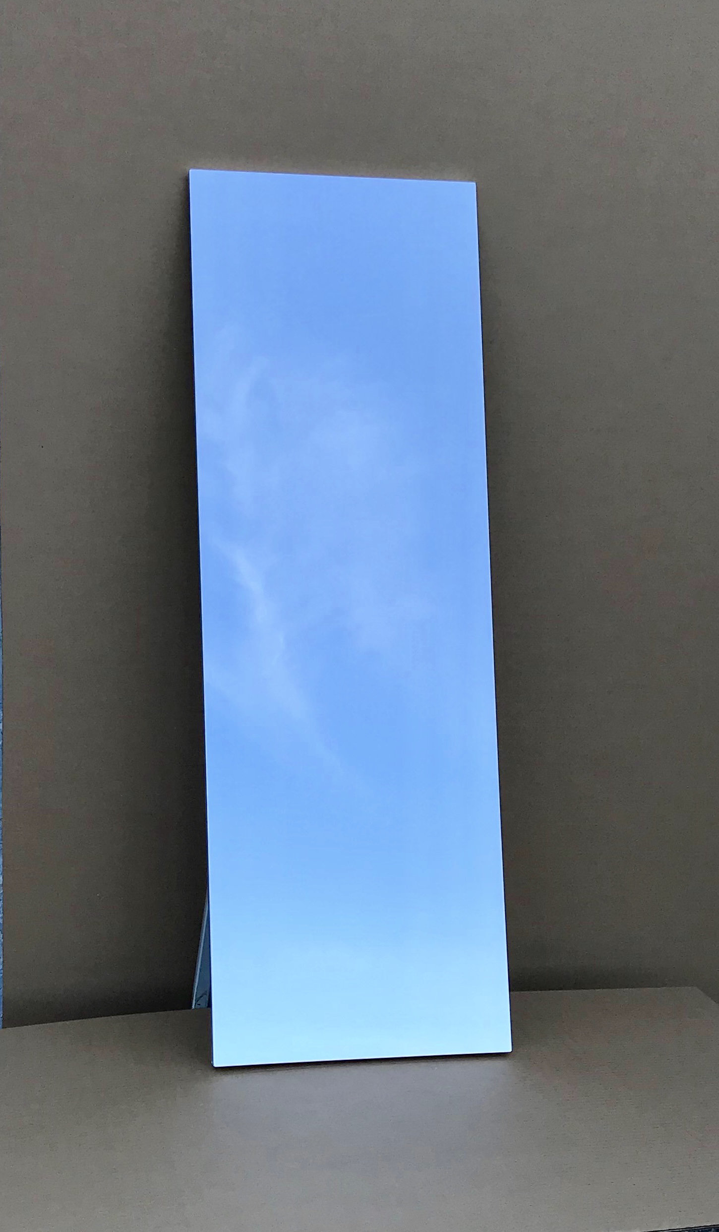 Latitude Run® Flat Mirror & Reviews | Wayfair