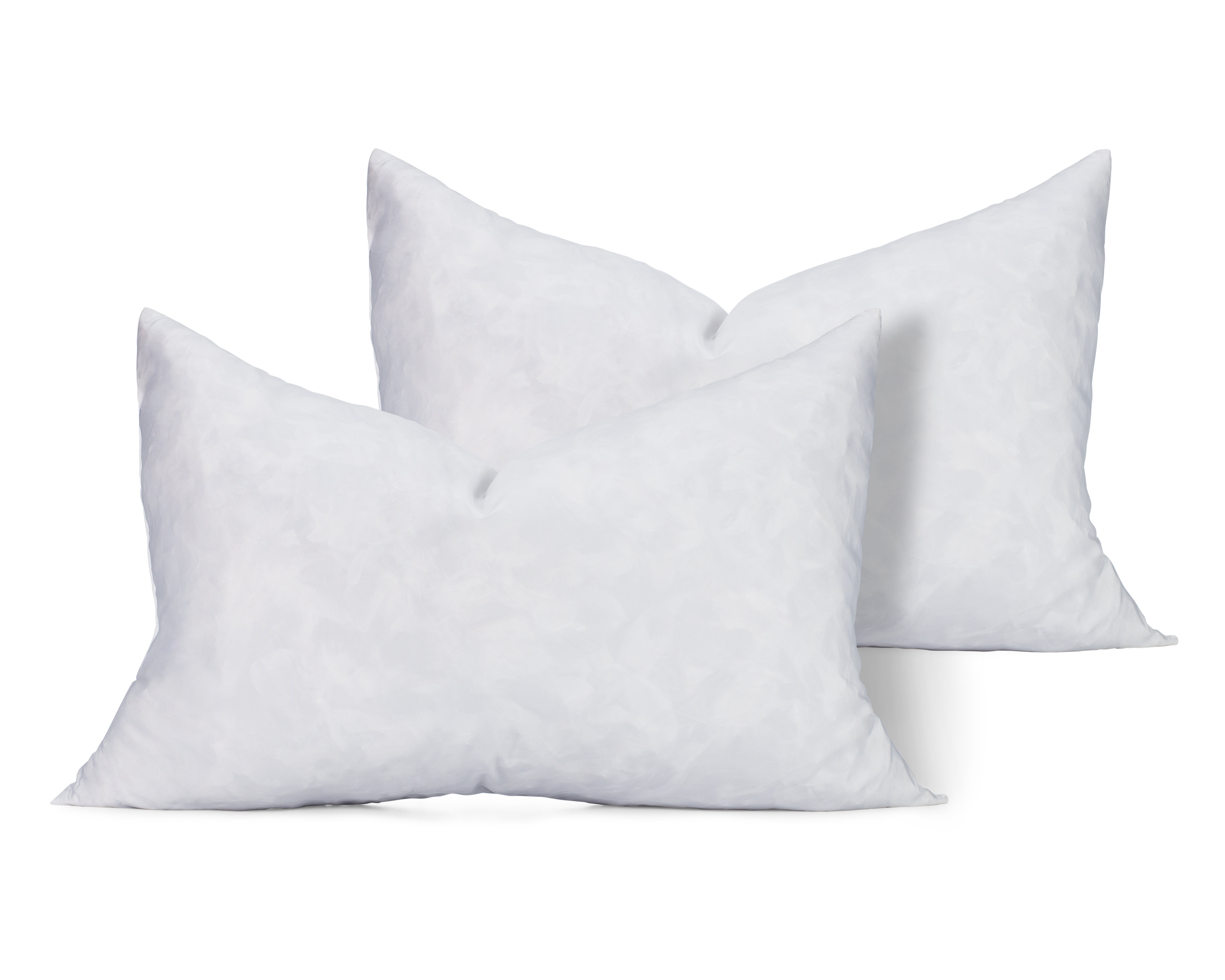 Sherry Kline Feather Down Fill Pillow Insert & Reviews | Wayfair
