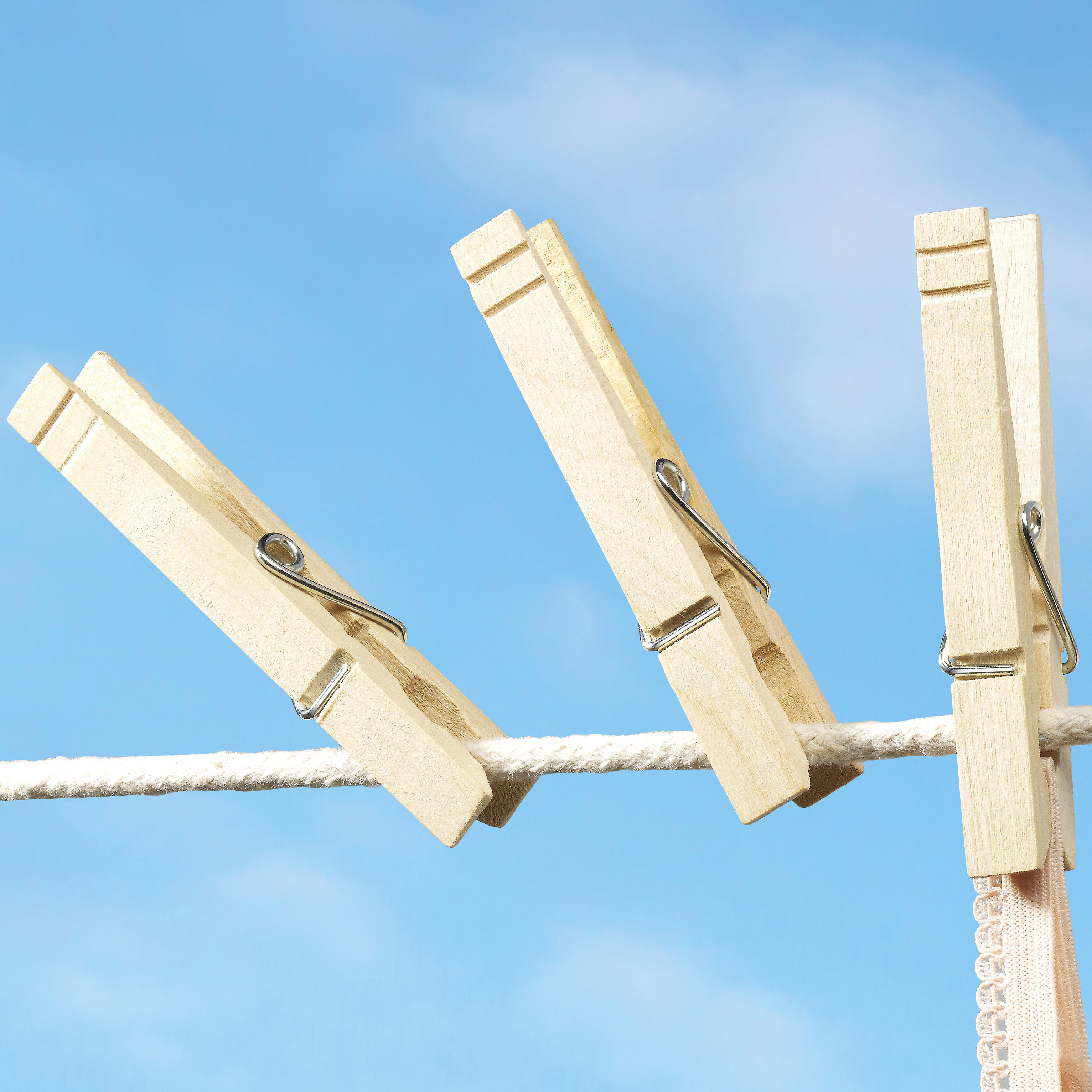 Whitmor, Inc 50 Count Wire Spring Clothes Pin & Reviews | Wayfair