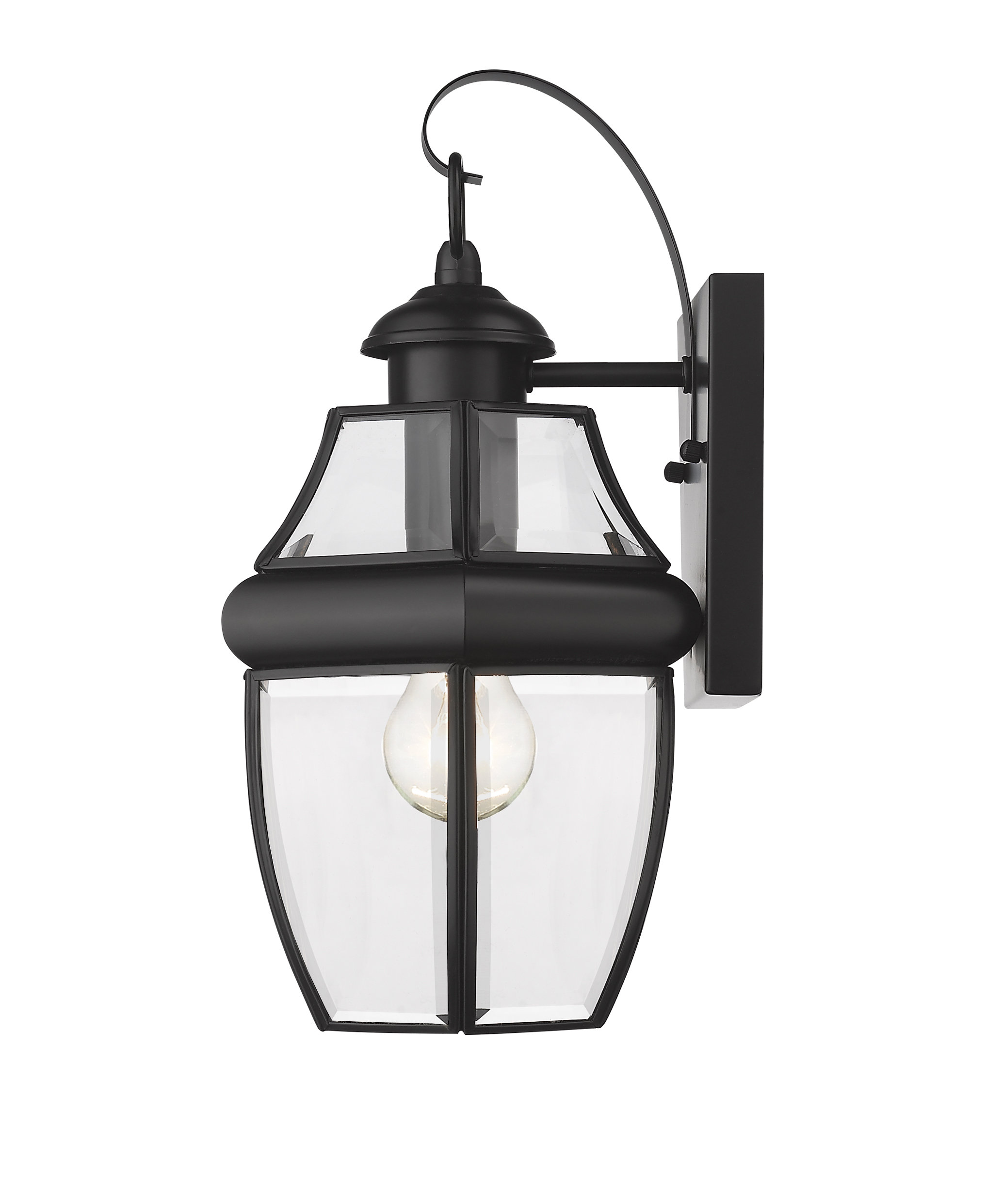 Lark Manor™ Allianora Outdoor Wall Lantern | Wayfair